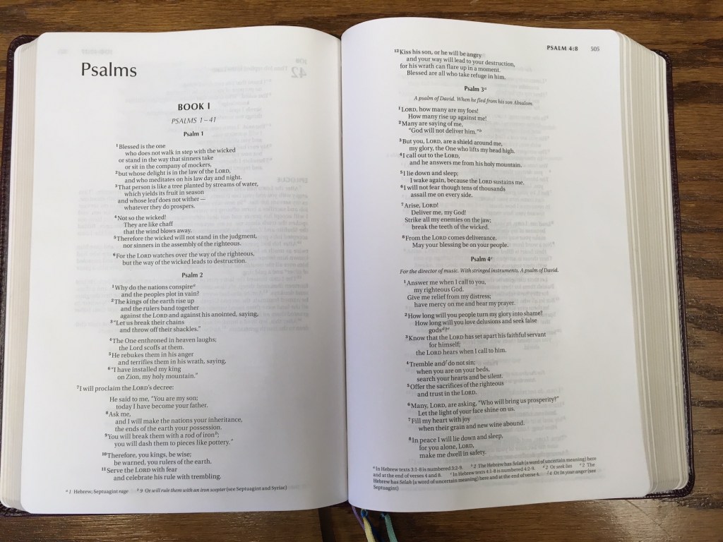 Review of ‘NIV Single-Column Bible’ – GeorgePWood.com